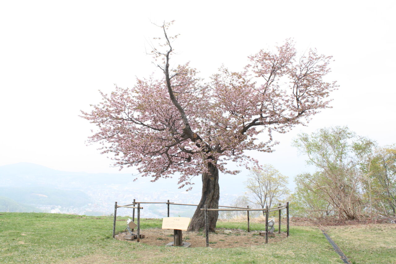 【Otaru】There are many things to see in addition to the view! Otaru ...
